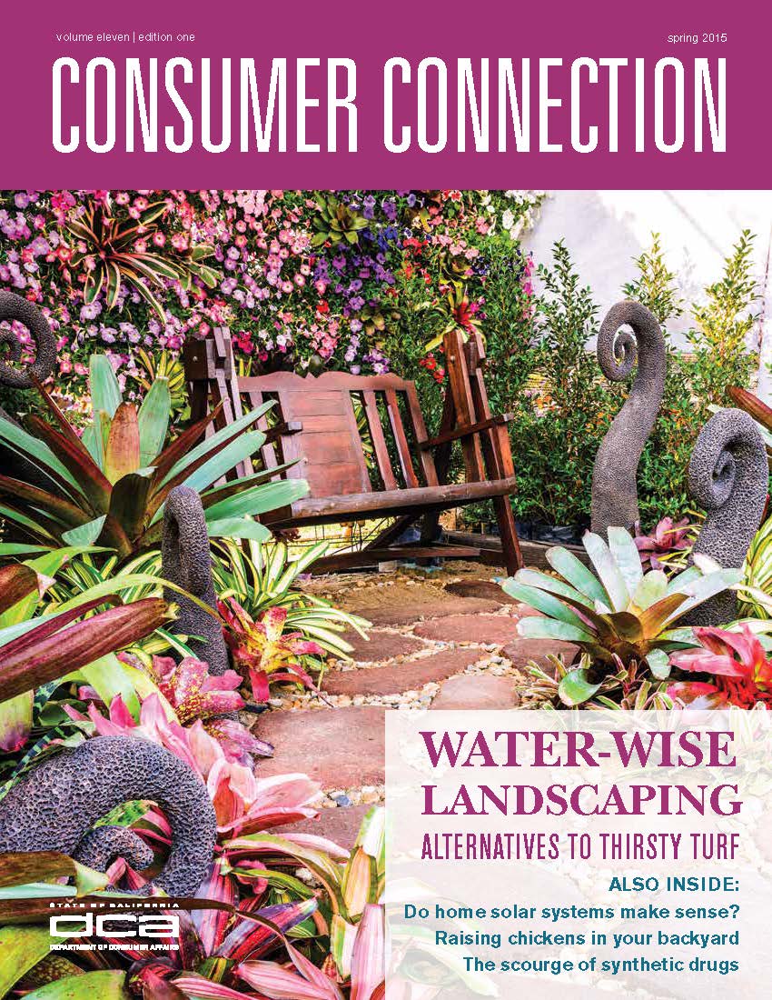 The latest edition of the Consumer Connection magazine is now available ...